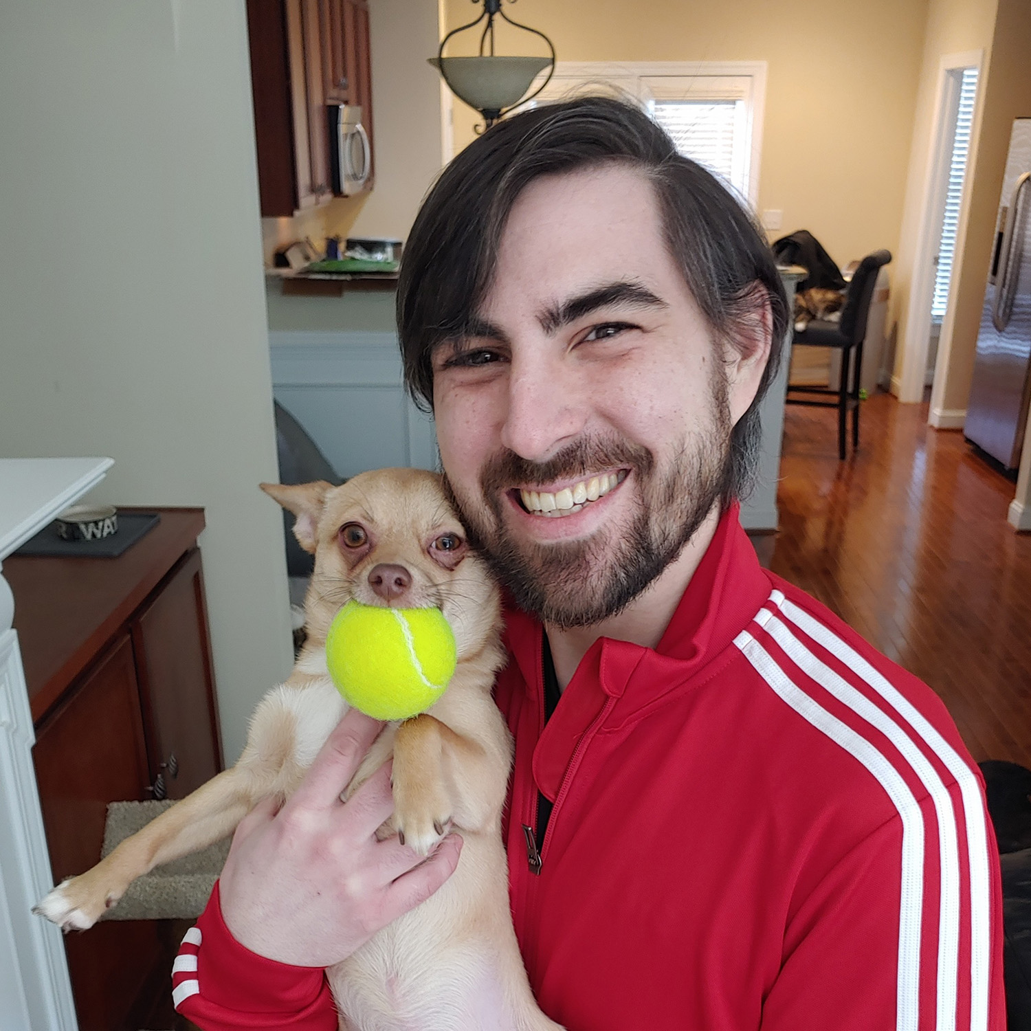 Cybersecurity: Alumni Tackle Digital Dilemmas | College of Humanities ...